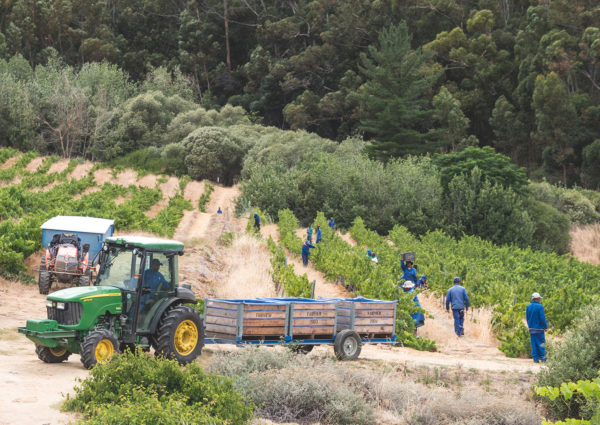 Fairview | Wine and Cheese | Bakery and Deli | Tasting Room