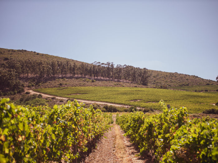 Fairview | Wine and Cheese | Bakery and Deli | Tasting Room